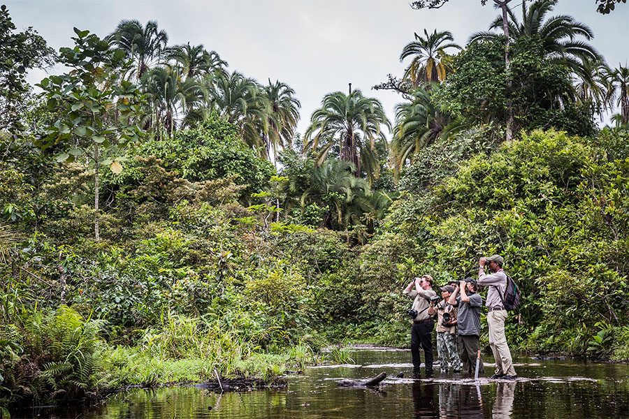 Congo Safaris | Congo Safari Holidays | Natural High